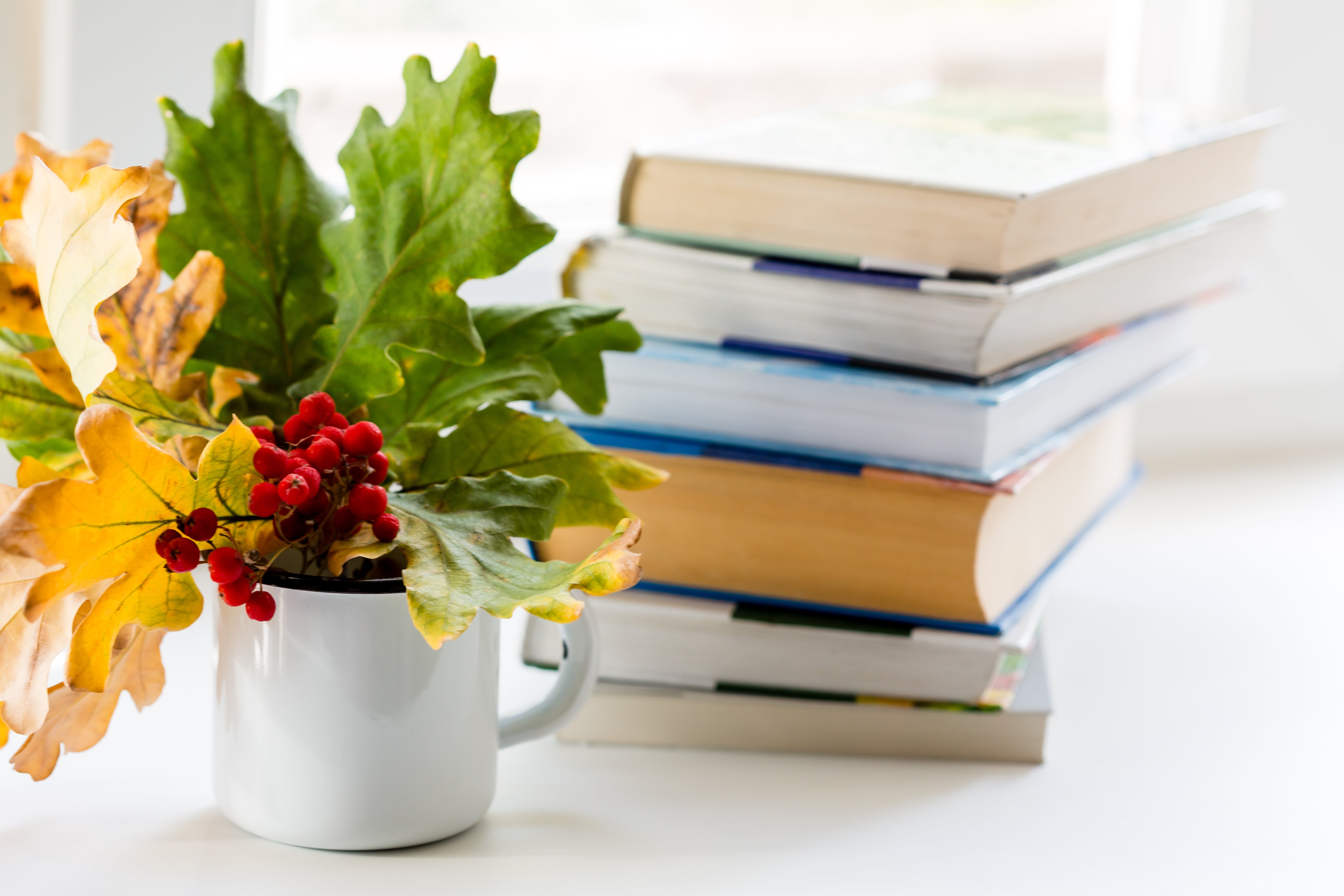 Understanding Generational Healing – Christian Healing Ministries Bookstore